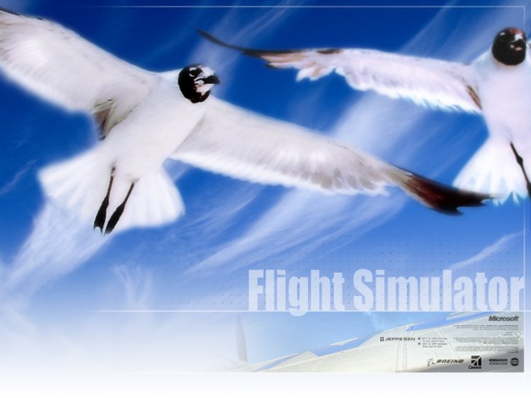 MSFS Splash Screen - FS2004 Заставки - Splash Screens - Avsim.su