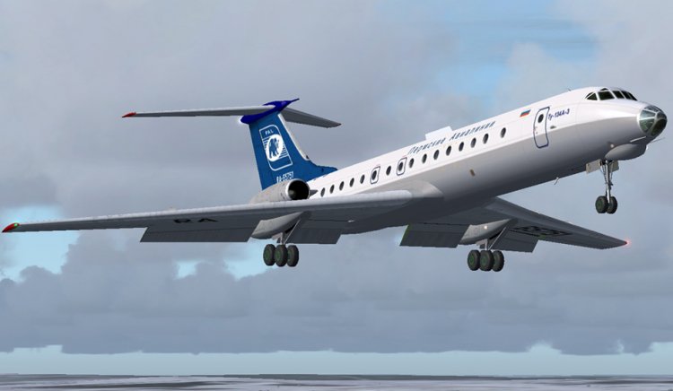 Файлы - AI Tu-134 Pulkovo Aviation - Avsim.su