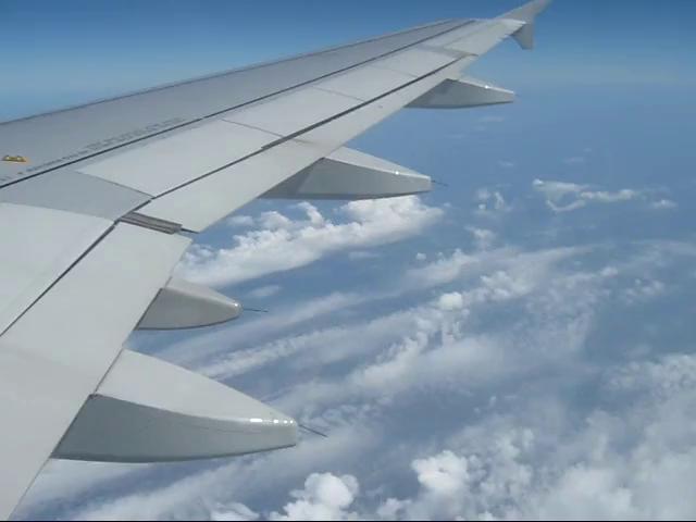 Файлы - заход на посадку в UUDD 14R A319 S7 18.08.2011г - Avsim.su